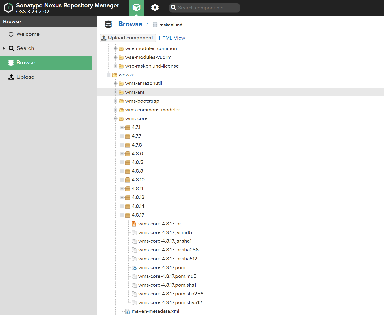 Wowza Module Development with automated delivery pipelines - Raskenlund